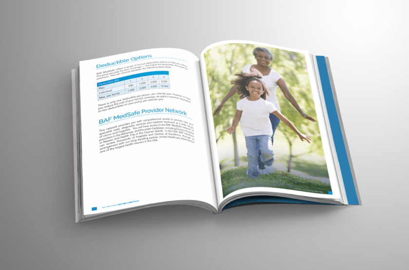 BAF Financial & Insurance : portfolio : grafico designs